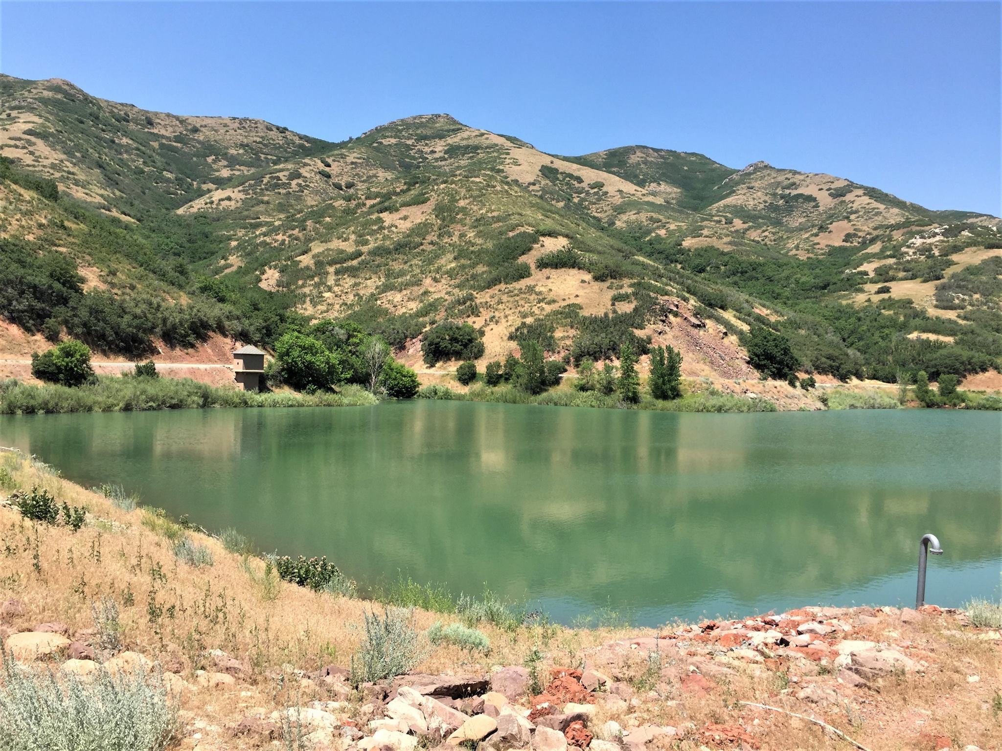 Maintaining the West's Oldest Retail Water Provider - Municipal Water ...