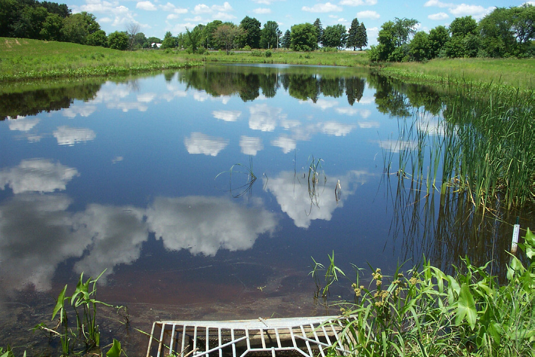 The Brown’s Creek Watershed District: Improving Water Body Health in an ...