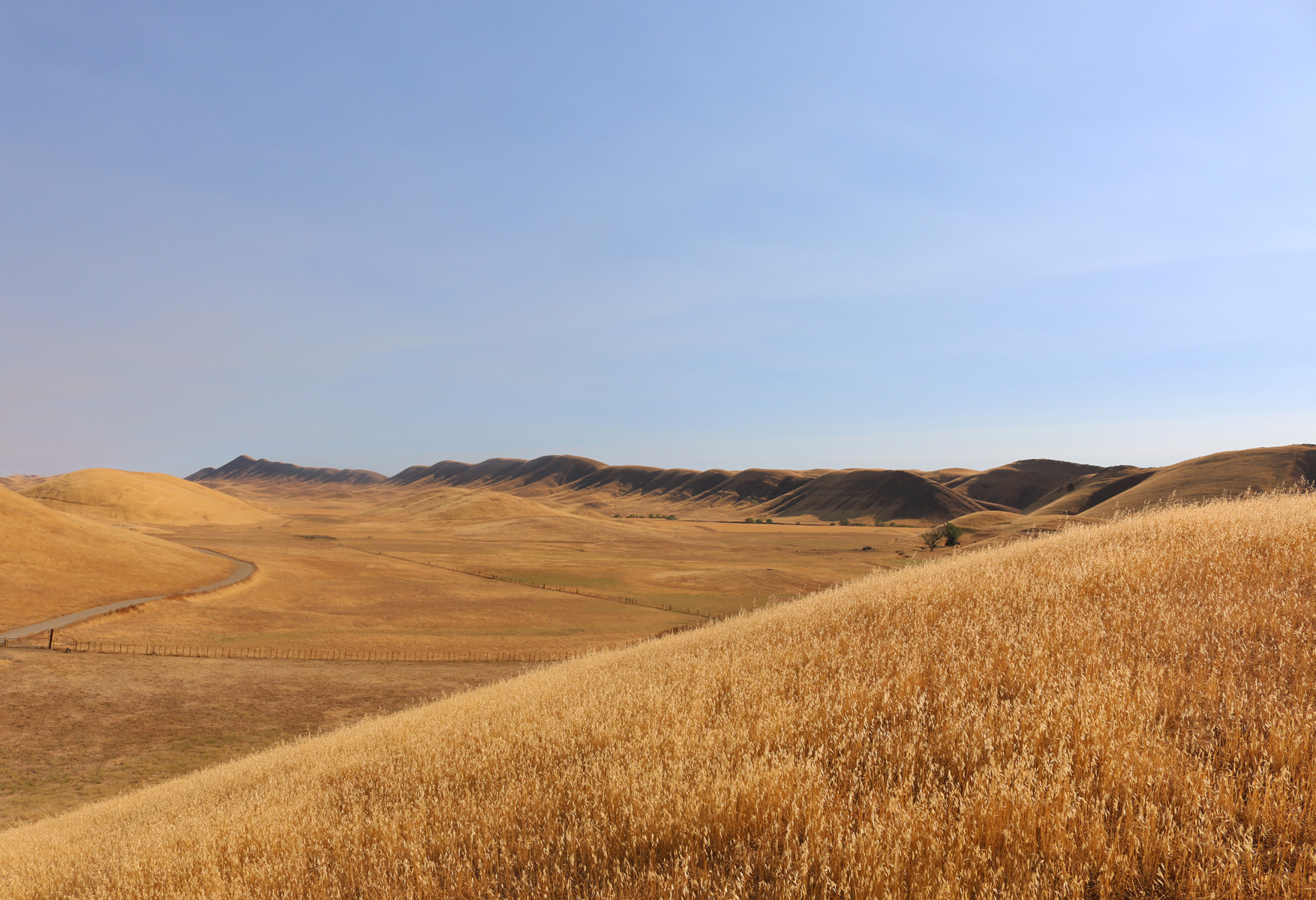 Jerry Brown: Advancing the Sites Reservoir Project - Municipal Water ...