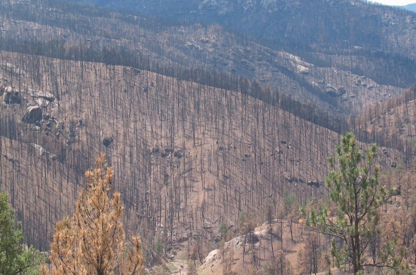 Christina Burri: Wildfire Prevention and Recovery at Denver Water ...